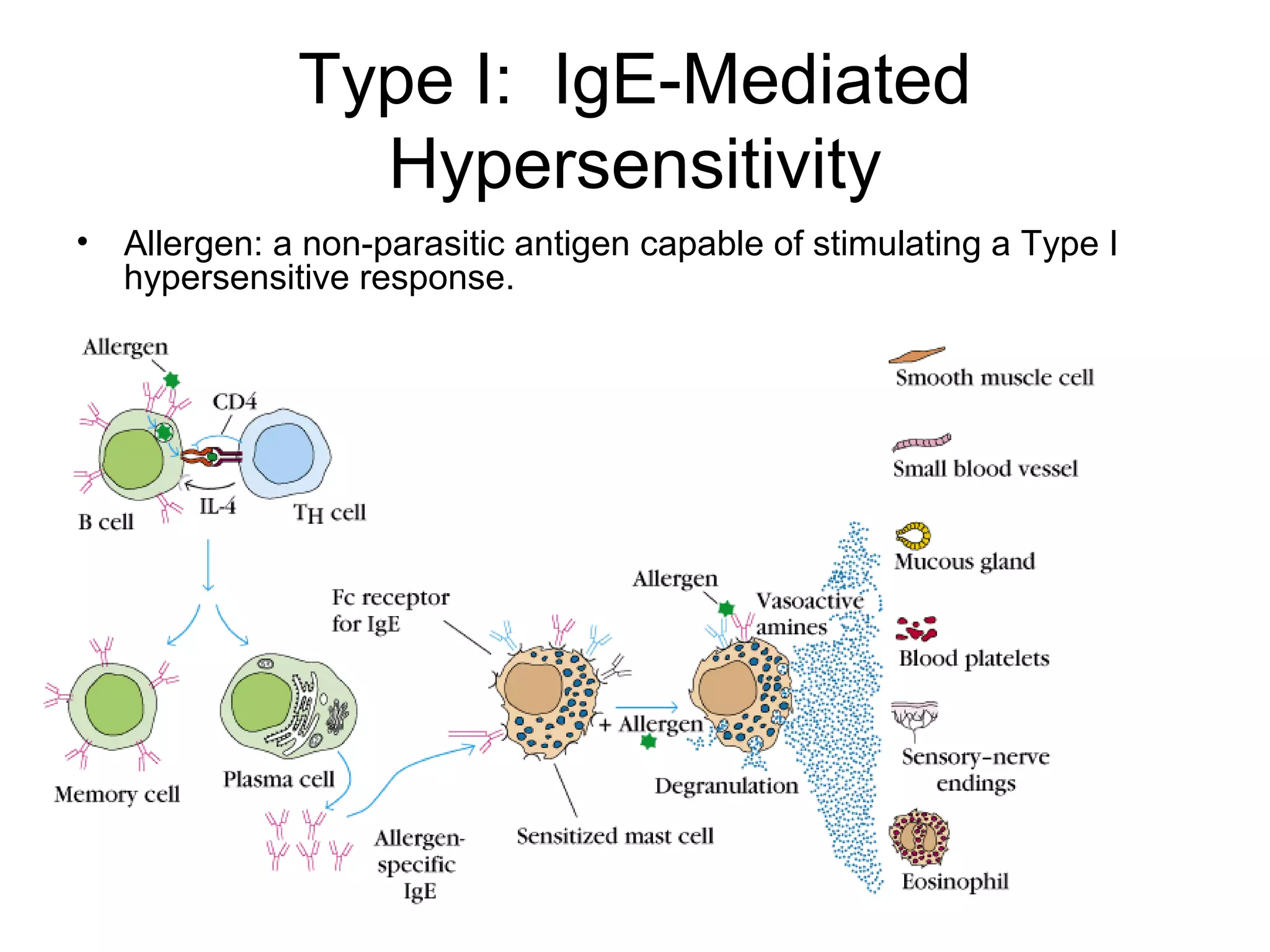 Hypersensitivity reaction pathology microbiology immunity | PPT