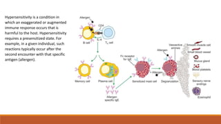 Hypersensitivity | PPT