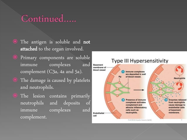 Hypersensitivity | PPTX