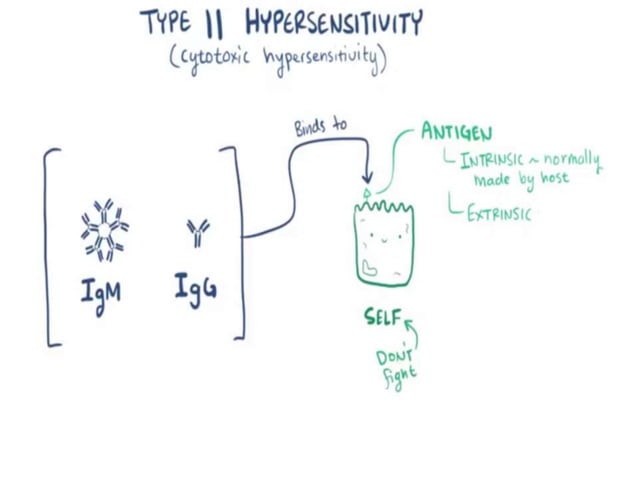 Hypersensitivity type 2 | PPTX | Infectious Diseases | Diseases and Conditions