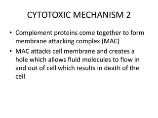 Hypersensitivity type 2 | PPTX