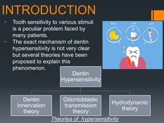 Hypersensitivity | PPTX