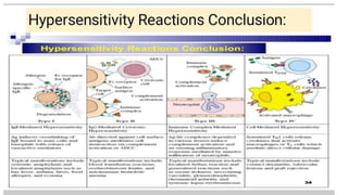 Hypersensitivity | PPT