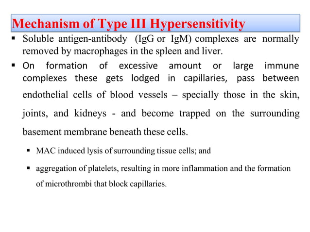 Hypersensitivity. immunology and microbiology course | PPT