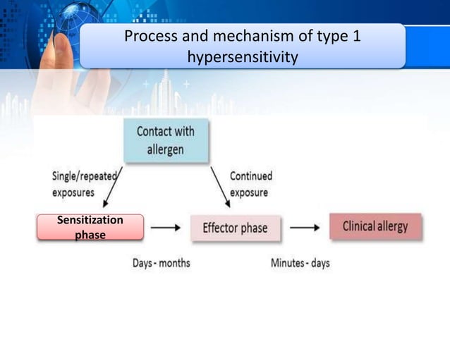 HYPERSENSITIVITY and Its Types and related reaction with examples | PPT