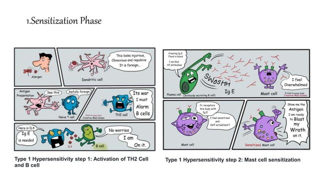 Hypersensitivity type 1 reaction with classification .pptx