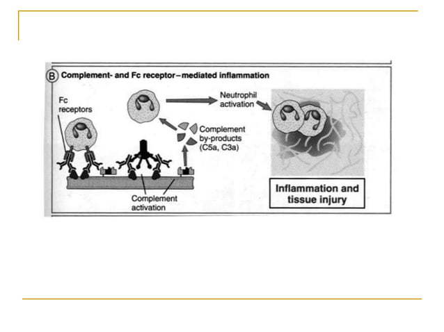 Hypersensitivity and its causes and effects.ppt
