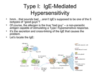 Hypersensitivity microbiology medical.ppt