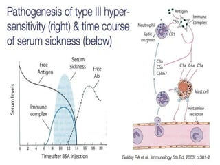 Hypersensitivity I,II,III & IV, the causative agents, the mechanism | PDF