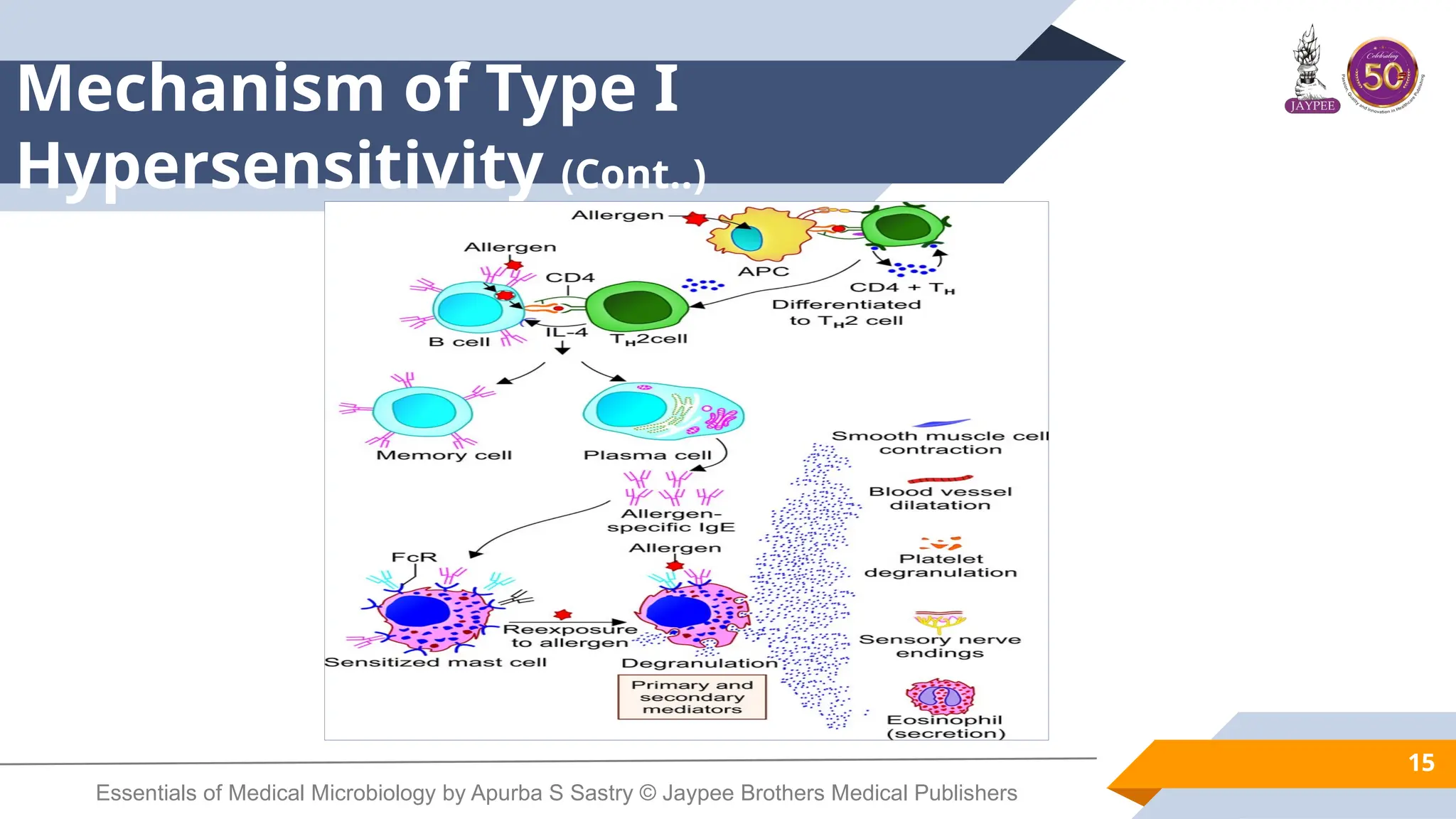 Hypersensitivity.pptxHypersensitivity.pptx
