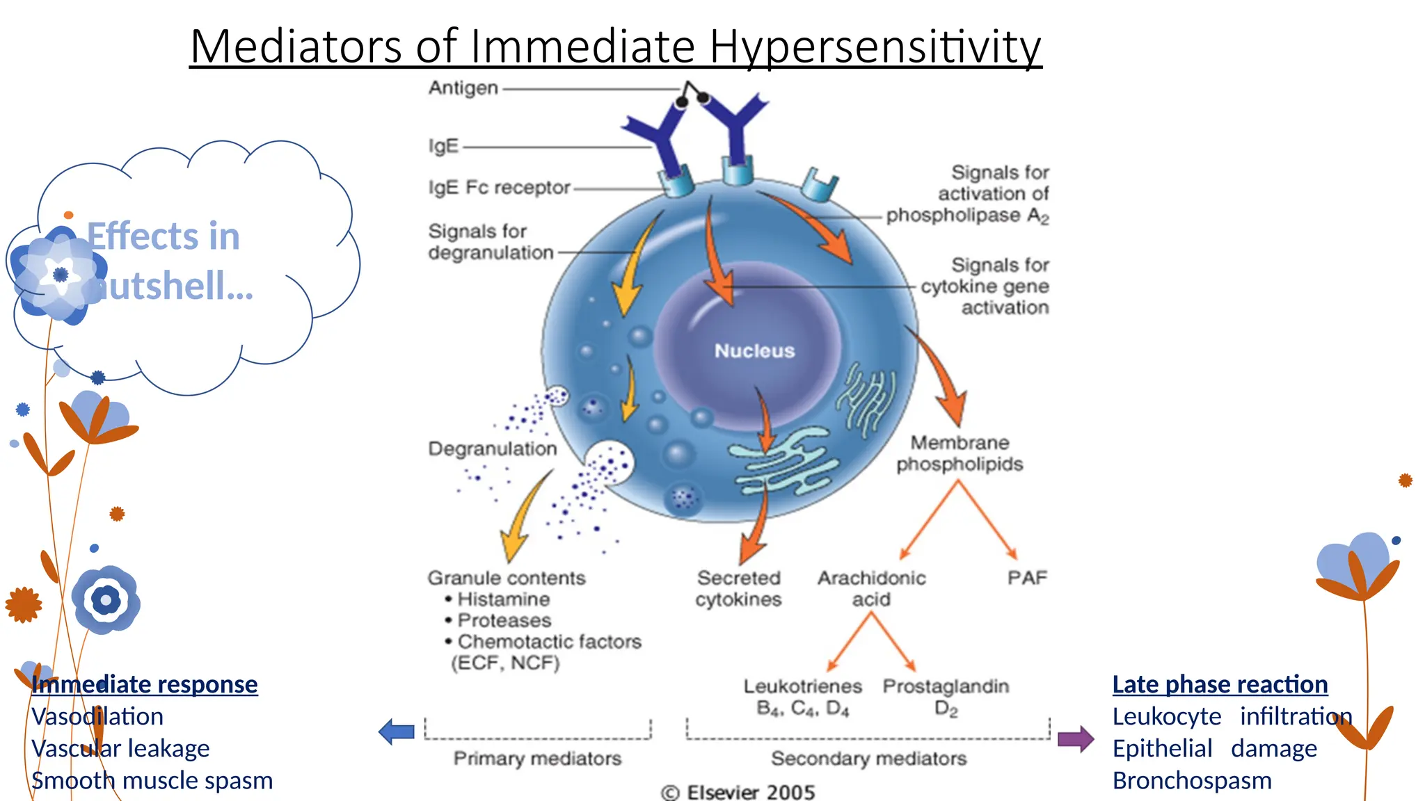 HYPERSENSITIVITY classification,types.pptx
