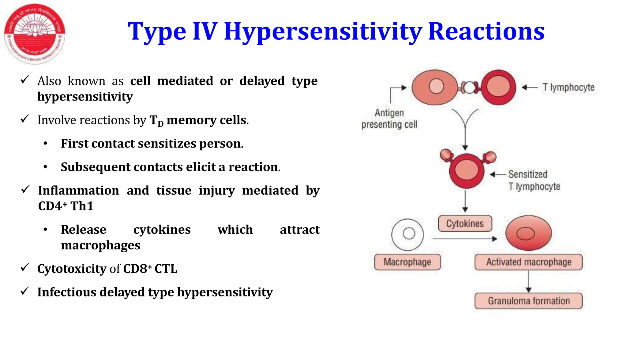 Hypersensitivity-reactions-immune-stimulation-and-Immune-suppression-31 ...