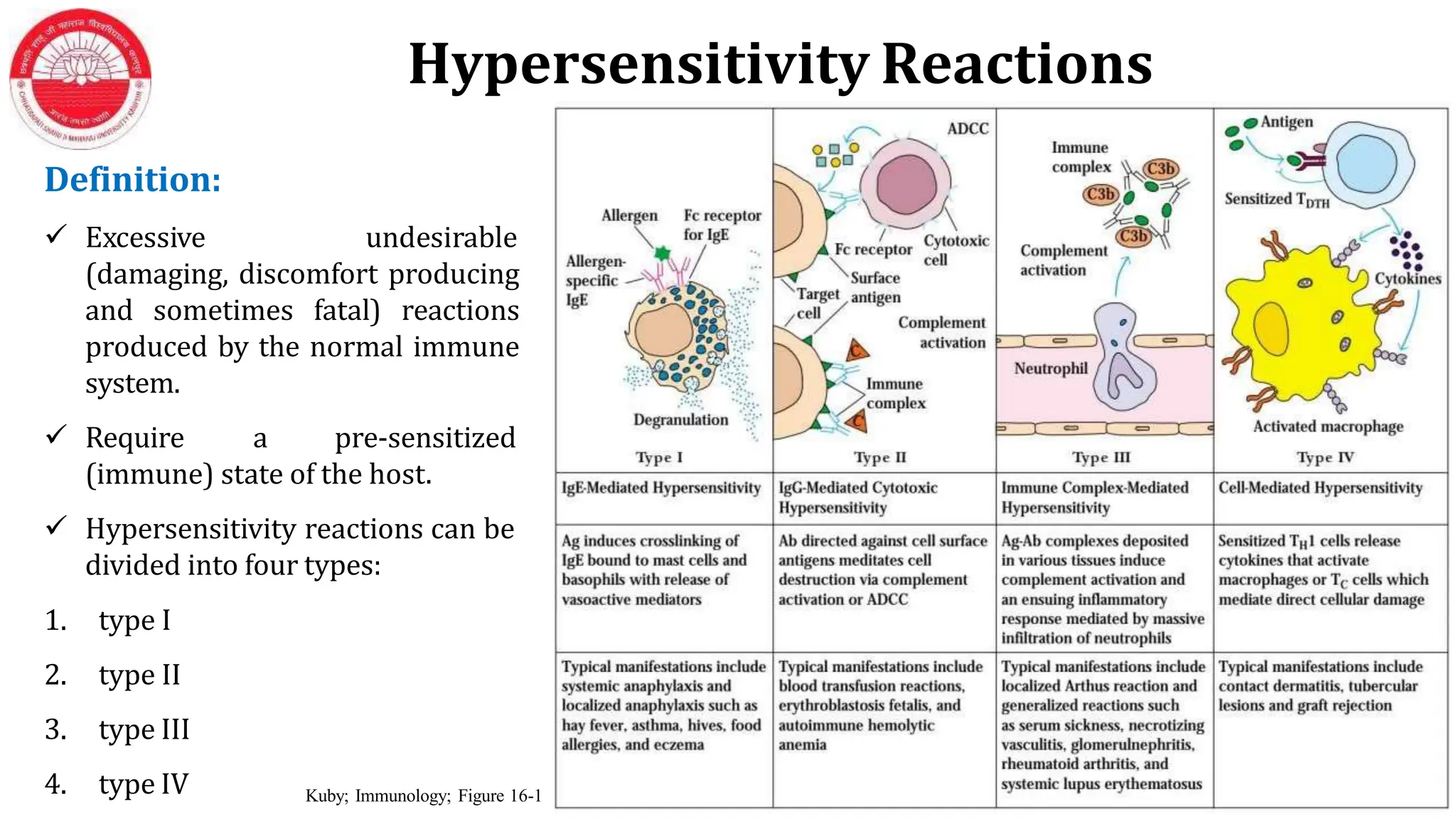 Hypersensitivity-reactions-immune-stimulation-and-Immune-suppression-31 ...