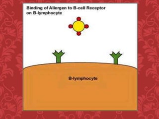 Hypersensitivity and its types ( type 1 anaphylaxis, type 2, Type 3 ...
