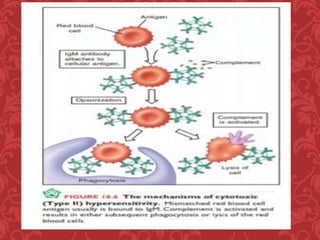 Hypersensitivity and its types ( type 1 anaphylaxis, type 2, Type 3 ...