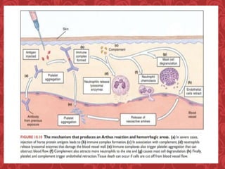 Hypersensitivity and its types ( type 1 anaphylaxis, type 2, Type 3 ...