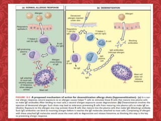 Hypersensitivity and its types ( type 1 anaphylaxis, type 2, Type 3 ...