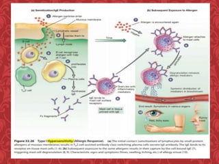 Hypersensitivity and its types ( type 1 anaphylaxis, type 2, Type 3 ...