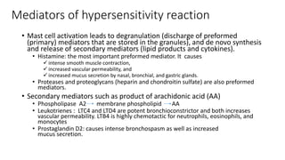 HYPERSENSITIVITY 204. and the immune system | PPTX | Allergies ...