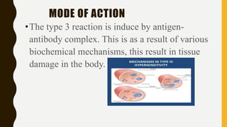 Hypersensitivity 3 | PPTX