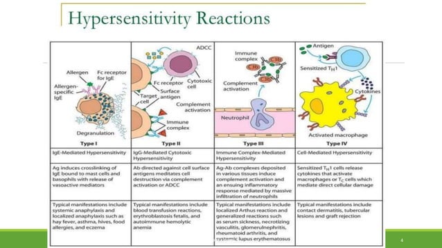 Hypersensitivity allergy reactions | PPSX