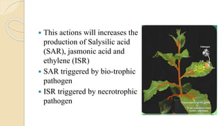 Hypersensitivity reaction (HR) and mechanisms | PPTX