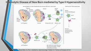 Hypersensitivity immunology | PPTX