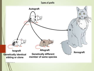 hypersensitivity and its types with mechanism .ppt