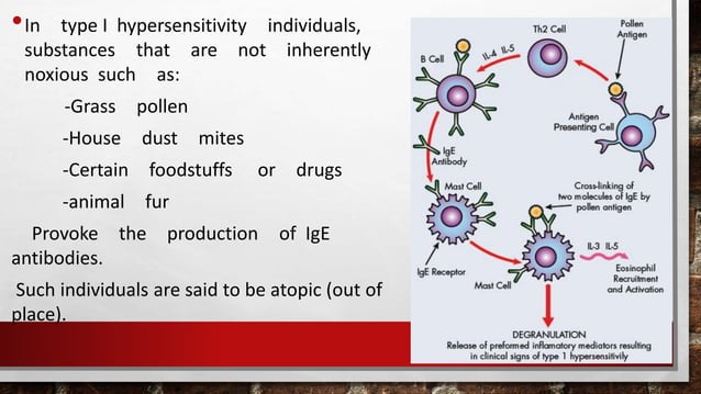 Hypersensitivity or allergic reactions | PPTX
