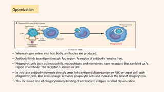 Hypersensitivity Reactions & its types. | PPTX