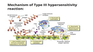 Hypersensitivity Reactions & its types. | PPTX