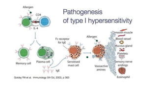 Hypersensitivity Reactions & its types. | PPTX
