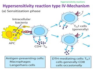 Hypersensitivity reaction, bph | PPTX