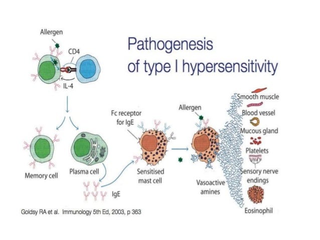 Hyper sensitivity reaction(type1 and type2)