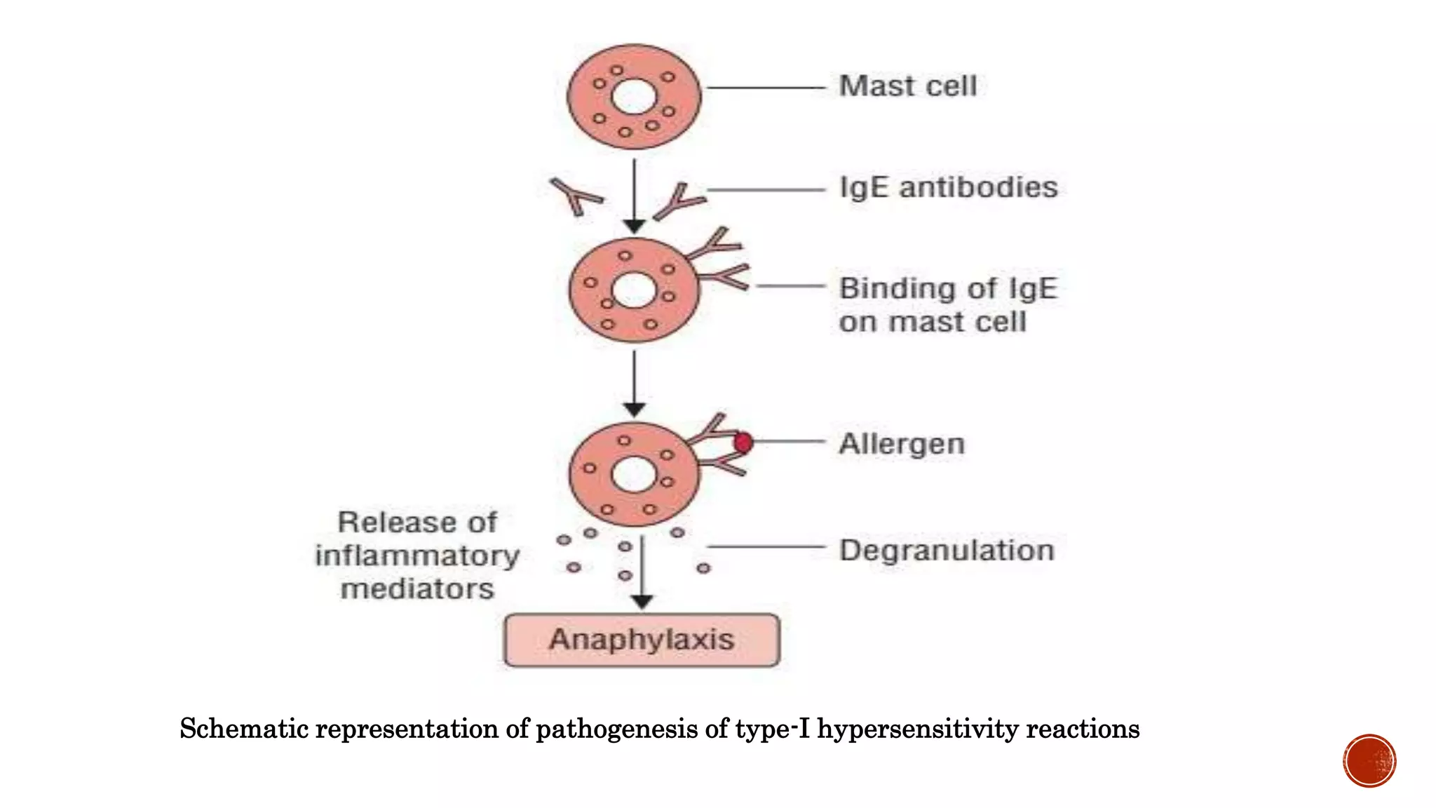 Hypersensitivity reactions | PPTX