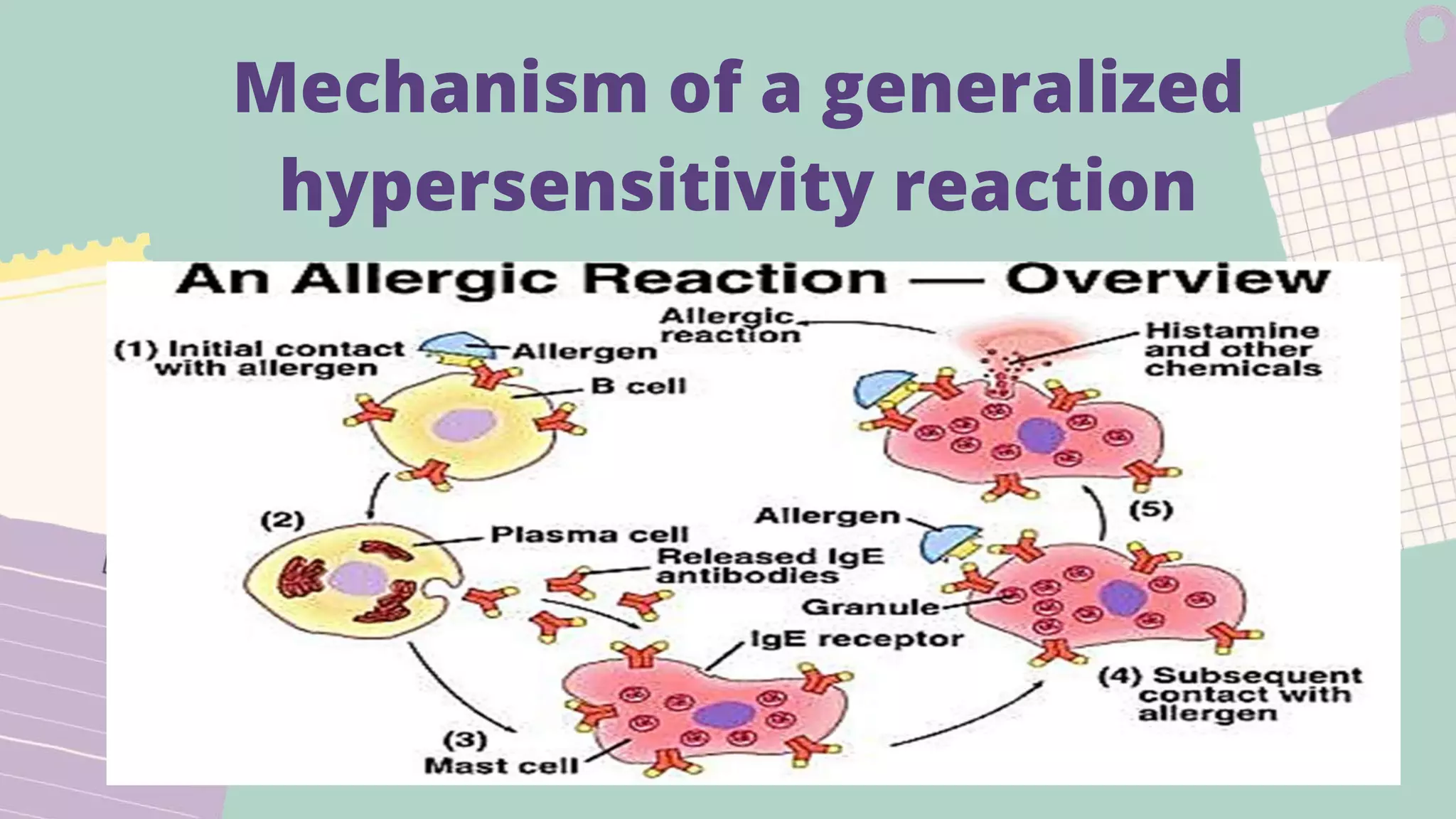 hypersensitivity reactions.pptx