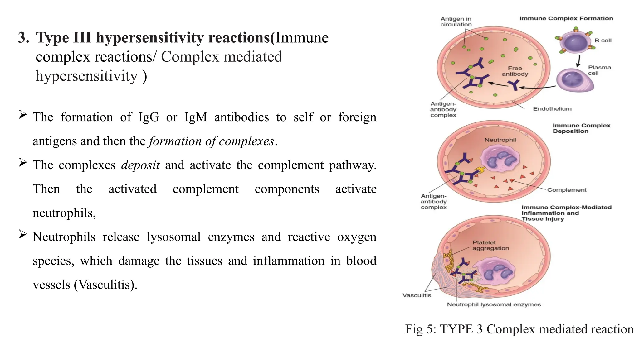 TYPES AND MECHANISM OF HYPERSENSITIVITY REACTIONS.pptx