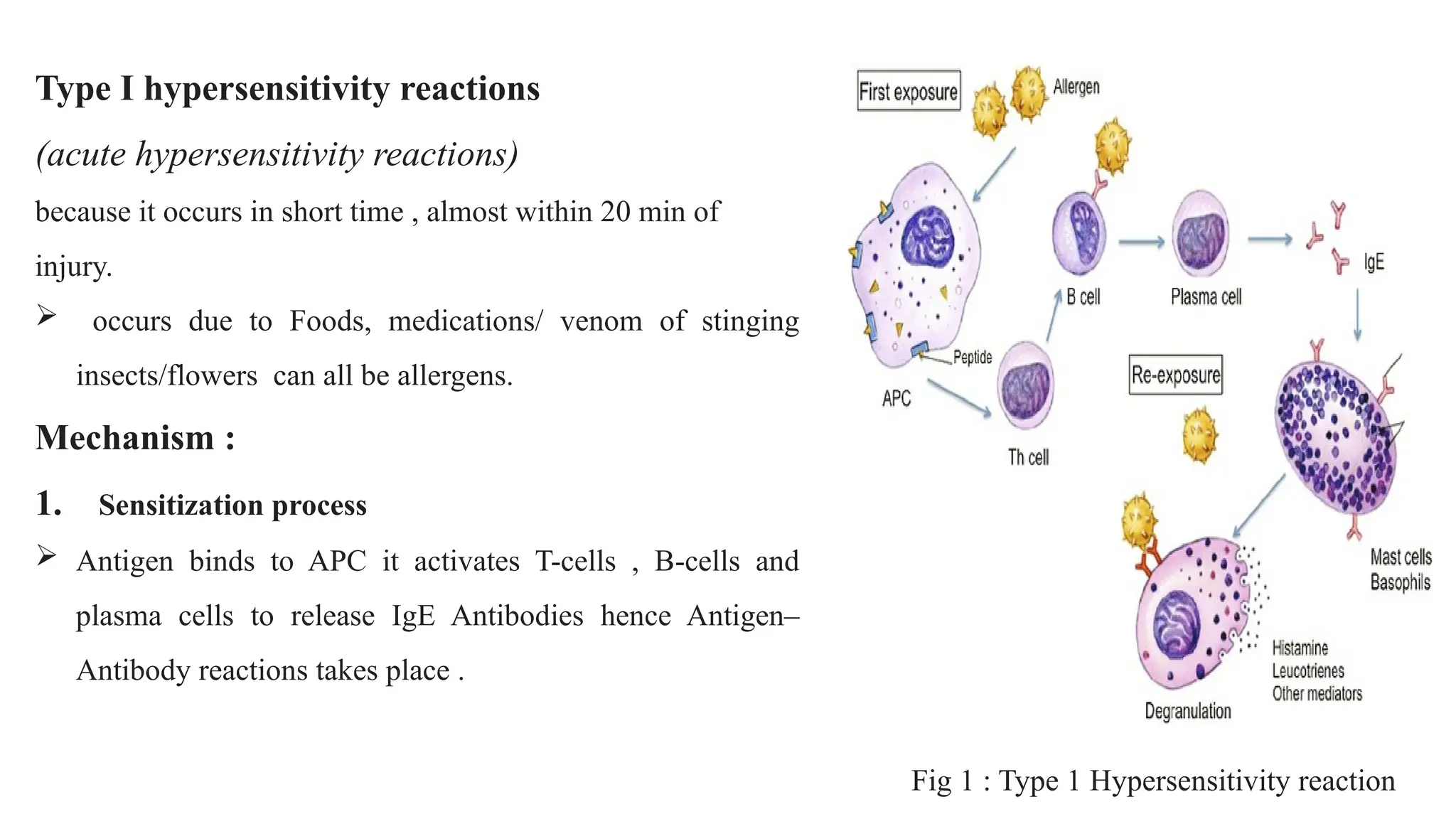 TYPES AND MECHANISM OF HYPERSENSITIVITY REACTIONS.pptx