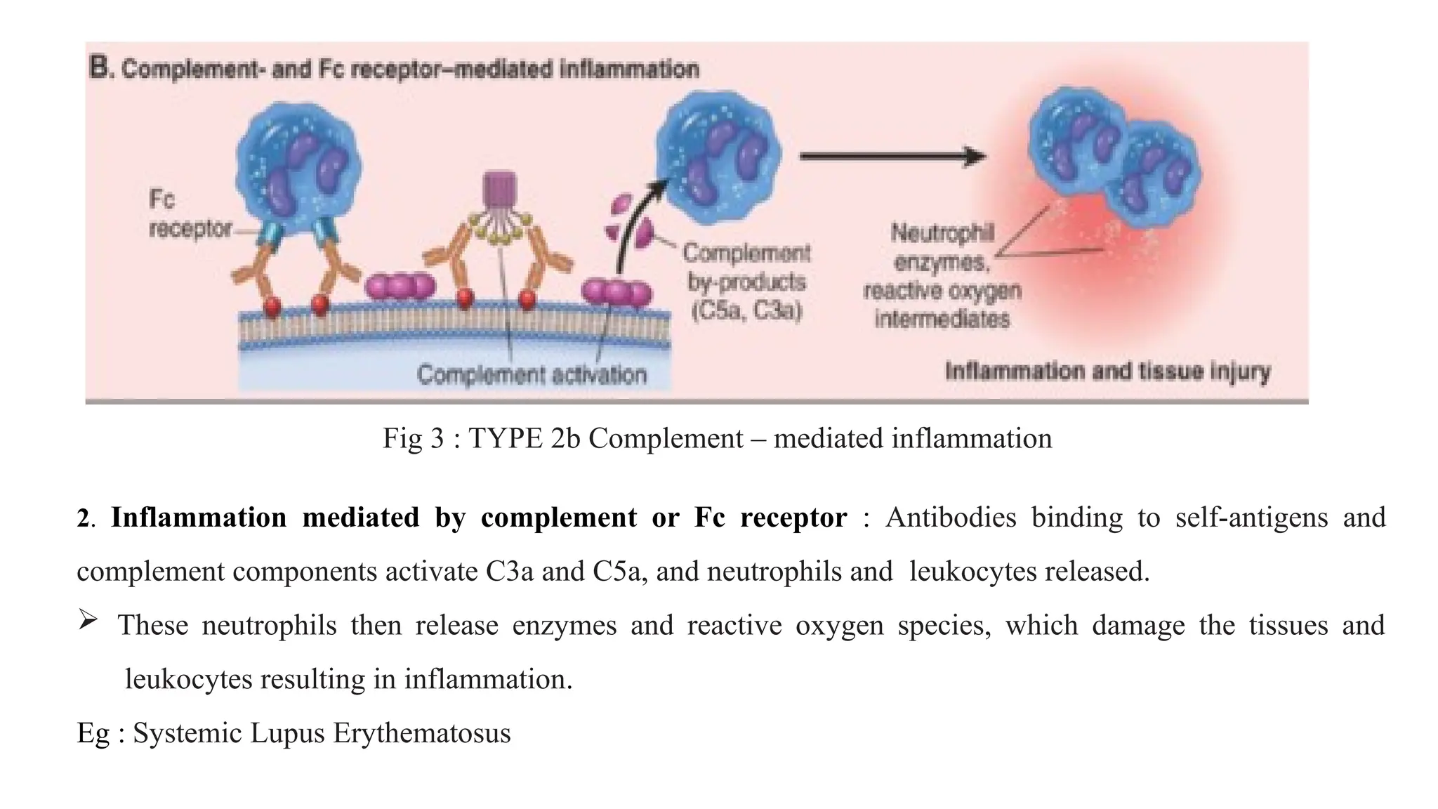 TYPES AND MECHANISM OF HYPERSENSITIVITY REACTIONS.pptx