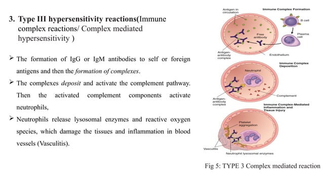 TYPES AND MECHANISM OF HYPERSENSITIVITY REACTIONS.pptx
