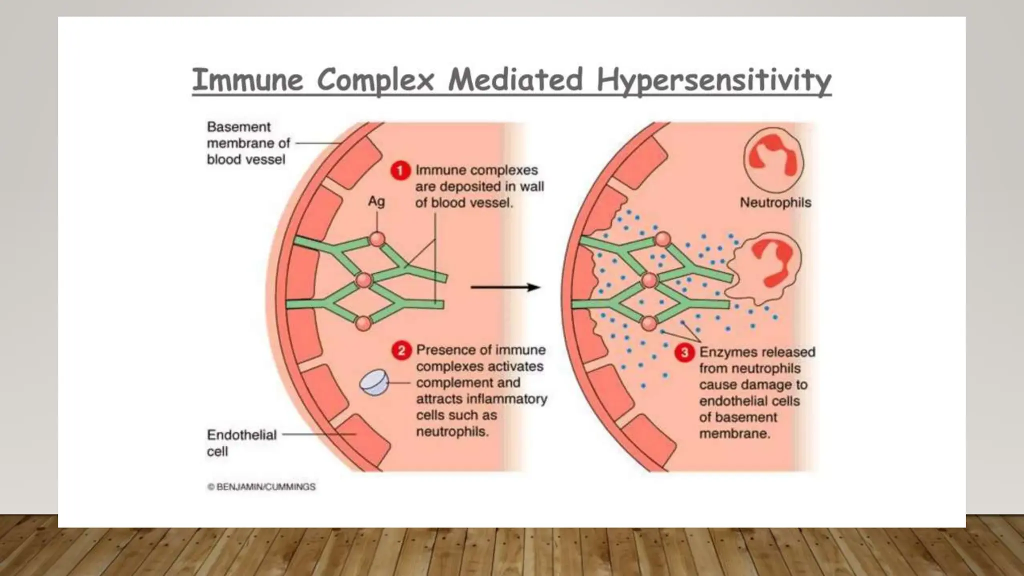 HYPERSENSITIVITY REACTIONS PATHOLOGY1.pptx