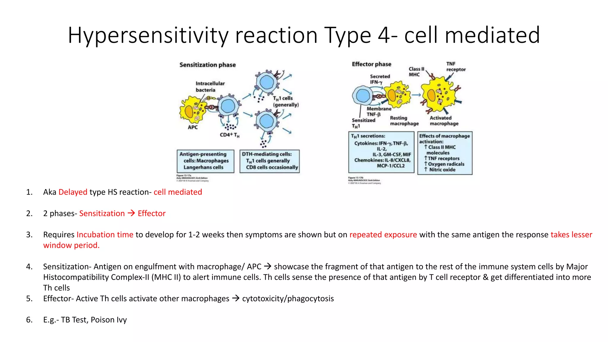 Hypersensitivity reactions | PPTX | Thyroid Disorders | Endocrine and ...