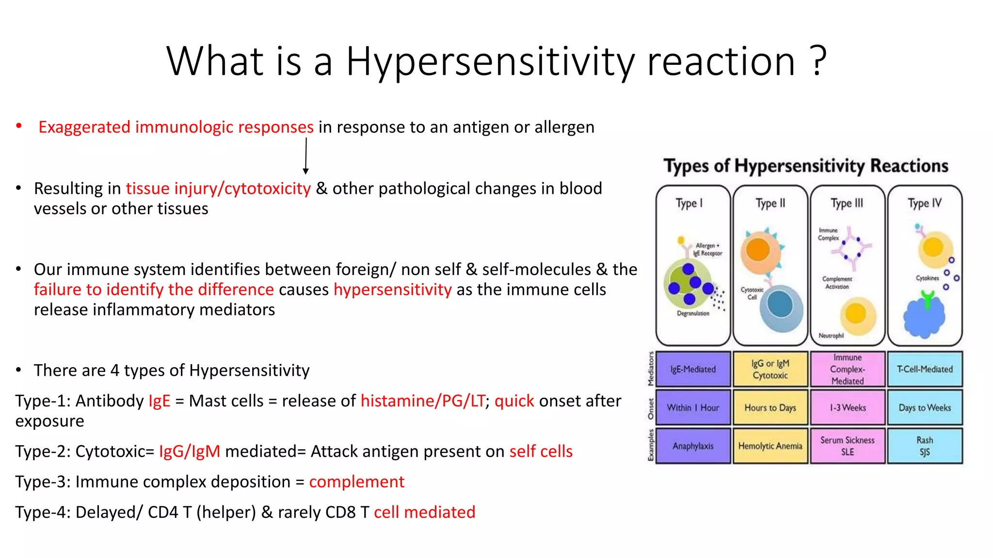 Hypersensitivity reactions | PPTX | Thyroid Disorders | Endocrine and Metabolic Diseases
