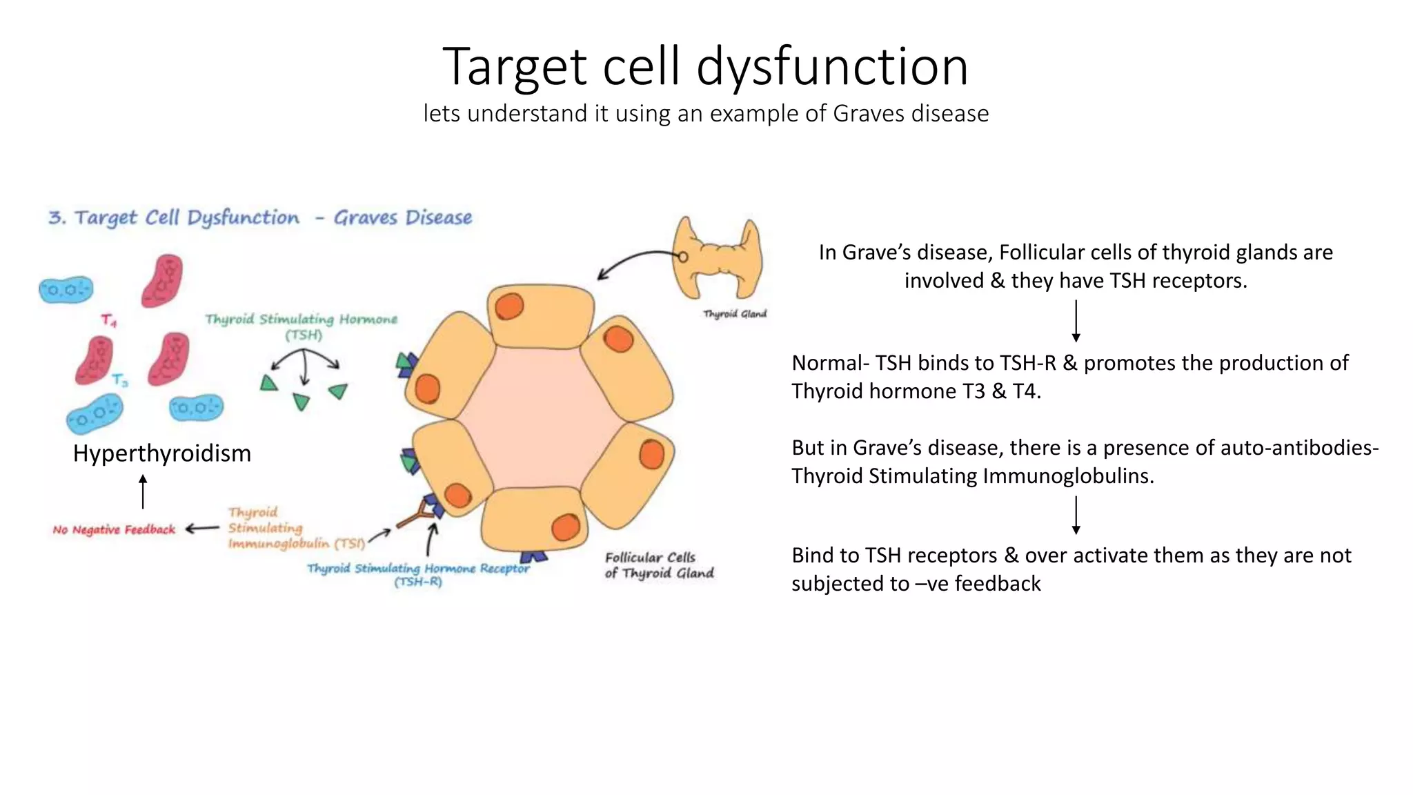 Hypersensitivity reactions | PPTX | Thyroid Disorders | Endocrine and ...
