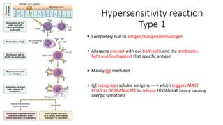 Hypersensitivity reactions | PPTX