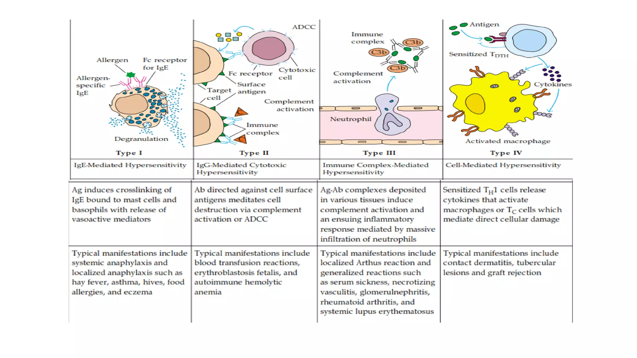 HYPERSENSITIVITY REACTIONS 2015.pdf