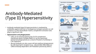 Hypersensitivity Reactions hematologic system | PPTX