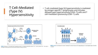Hypersensitivity Reactions hematologic system | PPTX