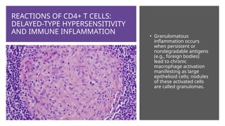 Hypersensitivity Reactions hematologic system | PPTX