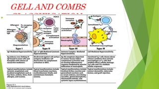 Hypersensitivity reactions | PPTX